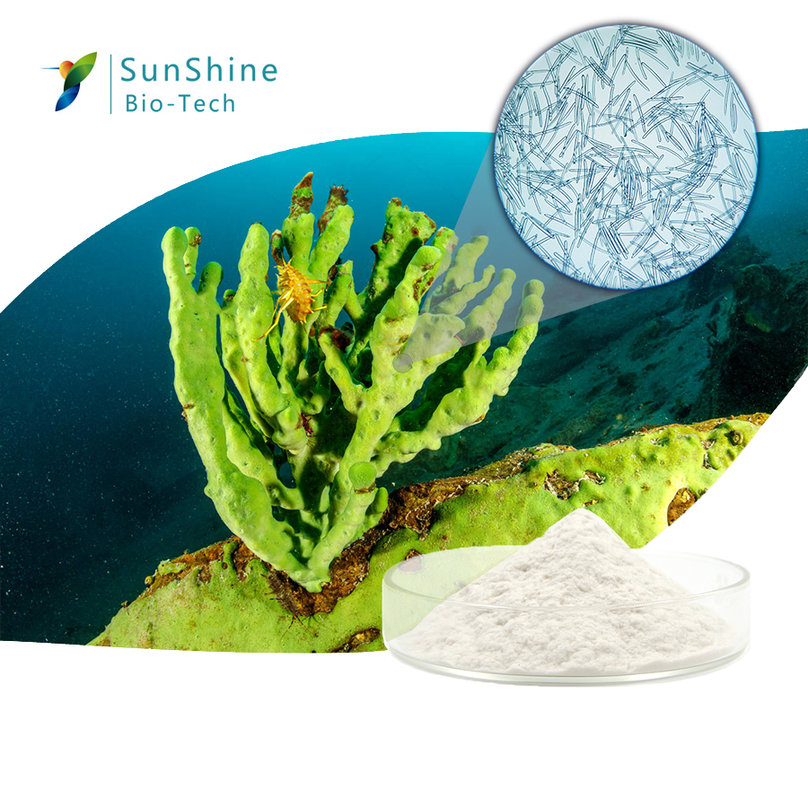 SQT Biomicroneedling - SQT Spongilla Spicules vs Wodorosty, Koralowce i ...