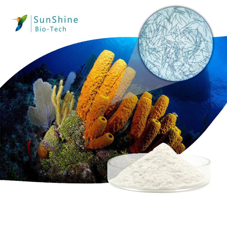 SQT Biomicroneedling - SQT Spongilla Spicules vs Wodorosty, Koralowce i ...